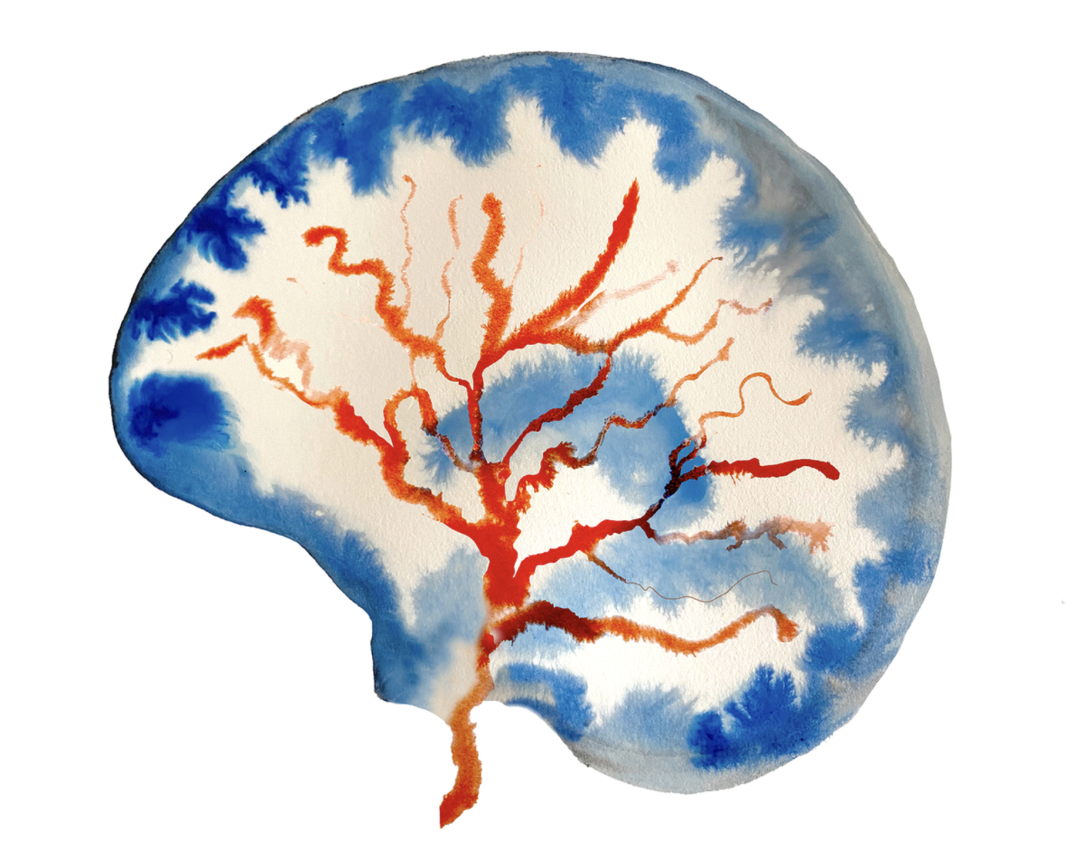 2024年度詞彙出爐：你也“Brain rot”大腦腐蝕了嗎？ - ppaper